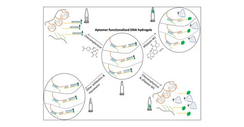 Simultaneous Dual Sensing Platform Based On Aptamer Functionalized Dna Hydrogels For Visual And
