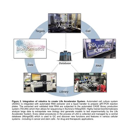 Accis Automated Cell Culturing System 理化学研究所 ライフサイエンス技術基盤研究センター