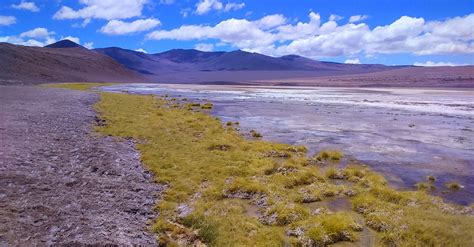 Srk Consulting On Linkedin Environmental Aspects Regarding Brine Extraction In Lithium Mining