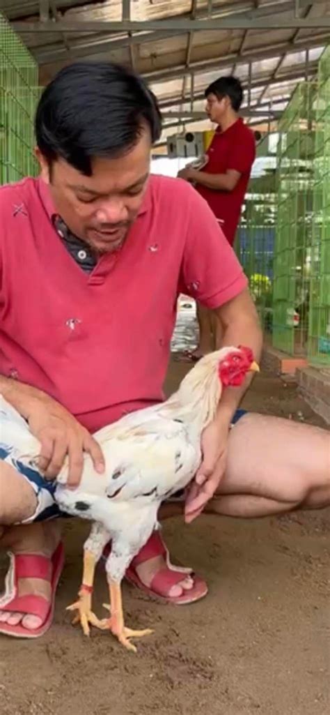 ភ្នំពេញ ផ្សារដេប៉ូ៥