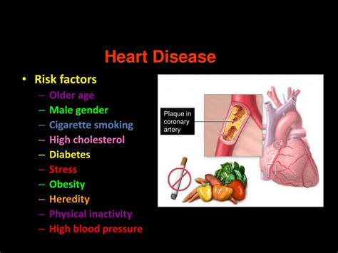 Ppt Circulatory System Disorders Powerpoint Presentation Free