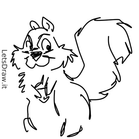 How To Draw Squirrel Zconoeps Png LetsDrawIt