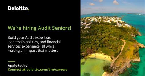Deloittecareers Deloitte Financialservices Big4 Audit Auditandassurance Impactthatmatters