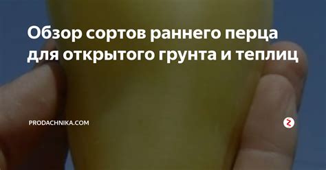 Обзор сортов раннего перца для открытого грунта и теплиц | prodachnika ...
