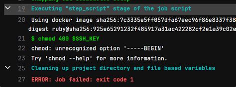 CI CD Fails At The Test Phase GitLab CI CD GitLab Forum