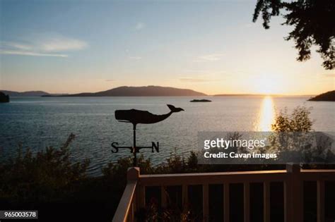 Vane Compass Photos And Premium High Res Pictures Getty Images