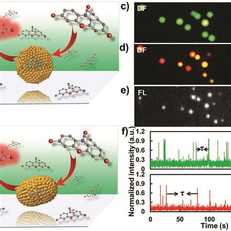 Fluorescence Characterizations Of The Catalysis Process From A Single Download Scientific
