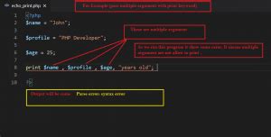 Different Between Echo And Print In Php DevOpsbabe Com