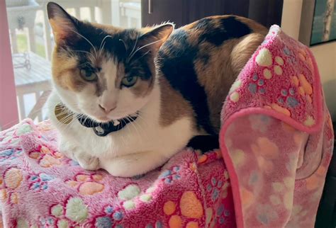 Hex And Candy Ottawa On