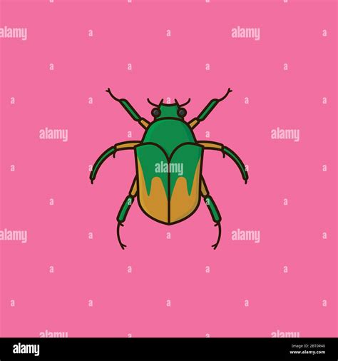 Junebug Or June Beetle Vector Illustration For Junebug Day On June 7th Cotinis Nitida Color