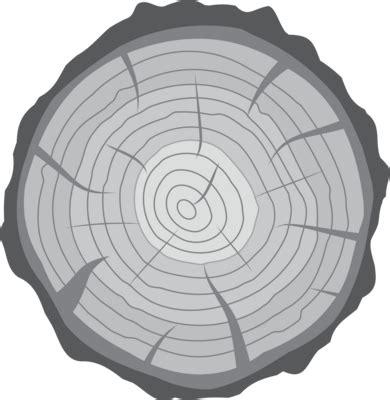 Tree Log PNGs For Free Download