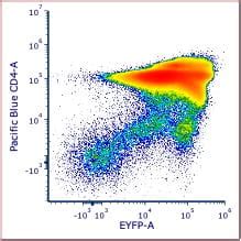 Cleaning Up Your Flow Data With Algorithms Bad Data Part Cytometry And Antibody Technology