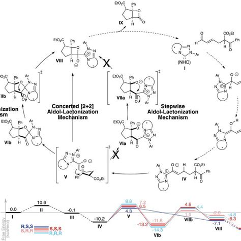 The Computed Catalytic Cycle Top And Reaction Coordinate Diagram Download Scientific Diagram
