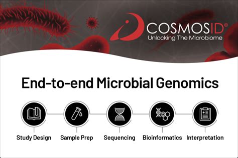 Home Microbiome Times Magazine