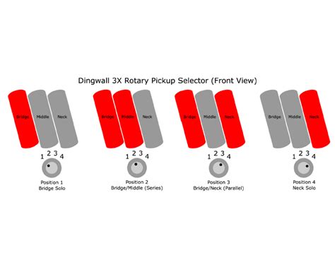 Dingwall Bass Ng3 4 Mgm Bass Gear Direct