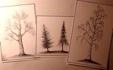 How To Paint A Tree Without Leaves Amazing And Easy Tutorials