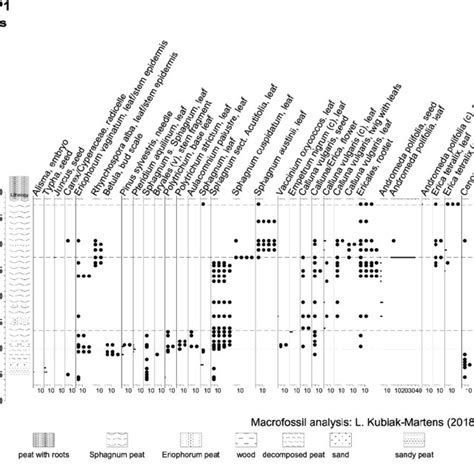 simplified pollen diagram for core p1 download scientific diagram