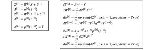 Forward Propagation Left Backward Propagation Right Download Scientific Diagram